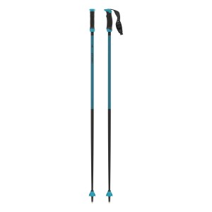 Bastoni sci Atomic Redster X C